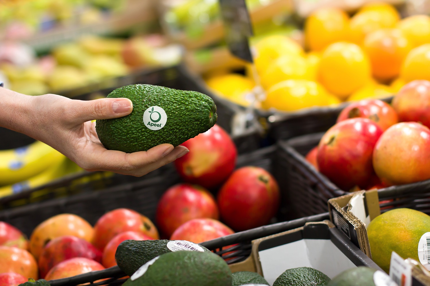 Apeel raises US$250M amid rapid global growth - FreshFruitPortal.com