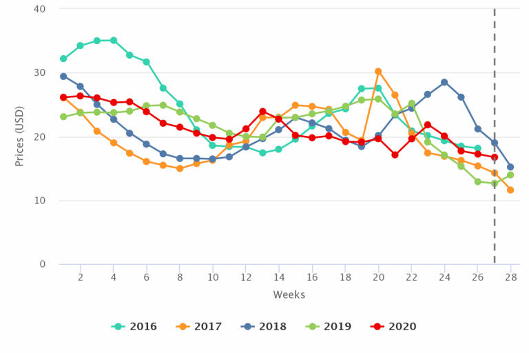 Grape market: A U.S. pricing and volume snapshot - FreshFruitPortal.com