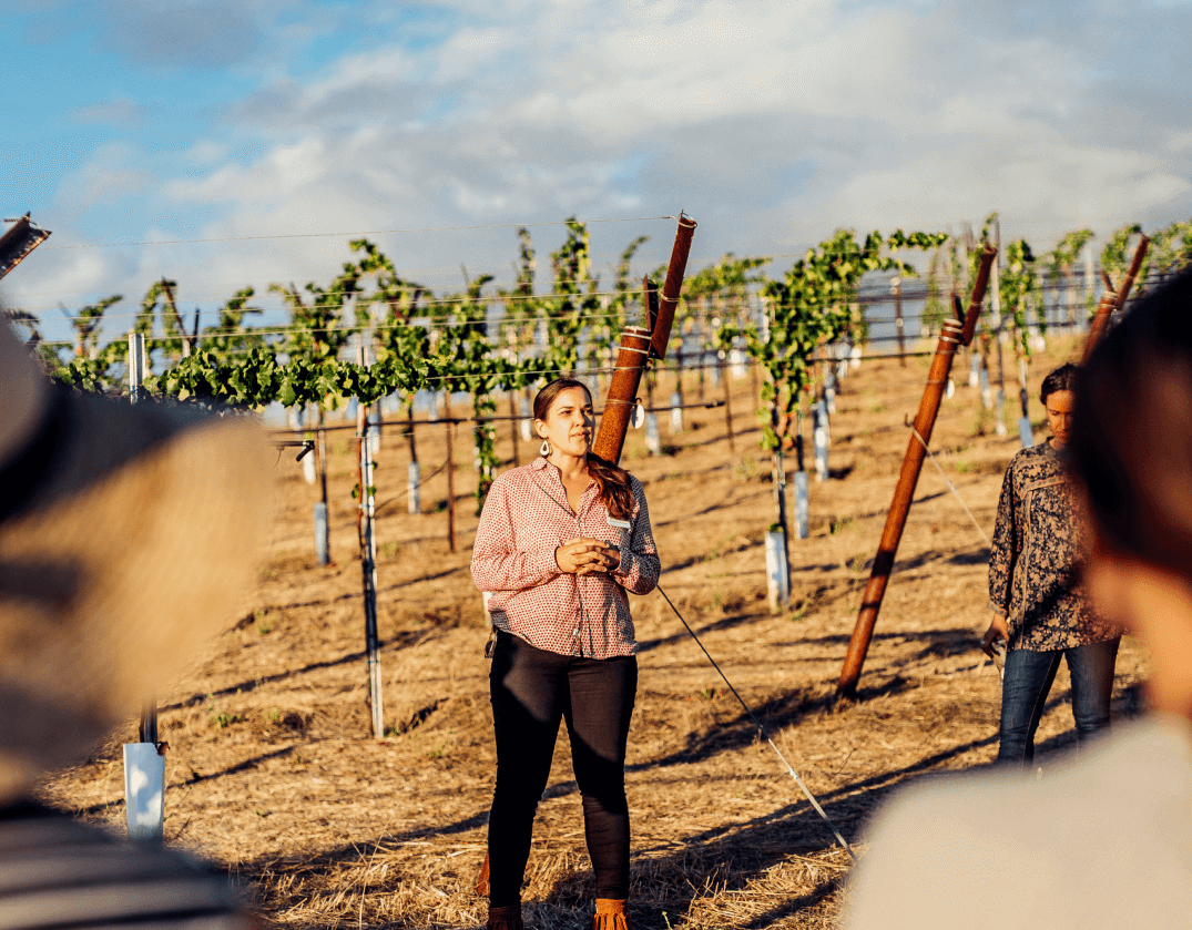 Organics: How growers overcome the transition - FreshFruitPortal.com