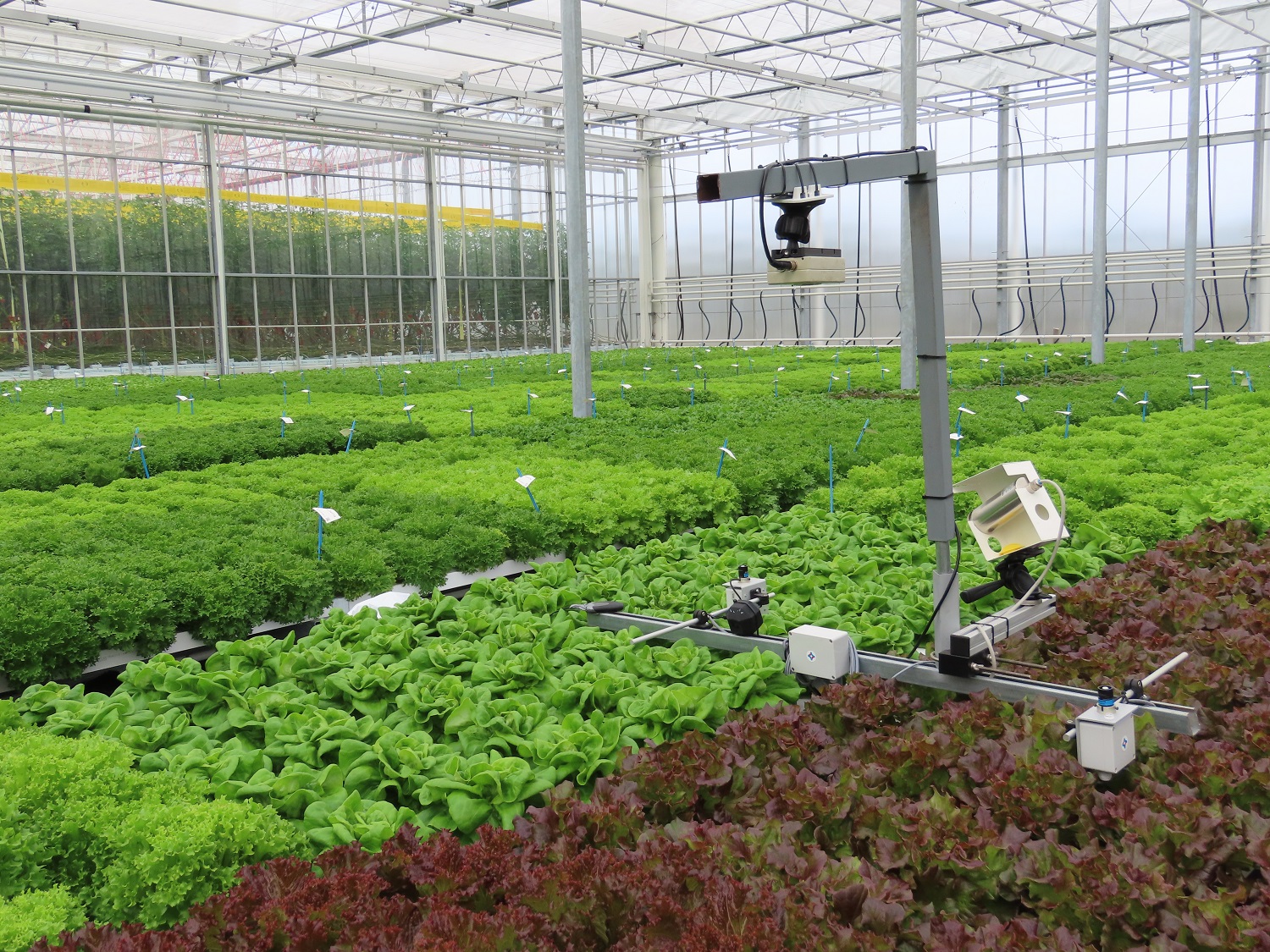 BASF Vegetable Seeds invests in autonomous growing - FreshFruitPortal.com