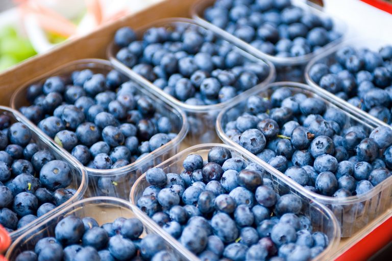 Indian blueberry sector tests its roots - FreshFruitPortal.com
