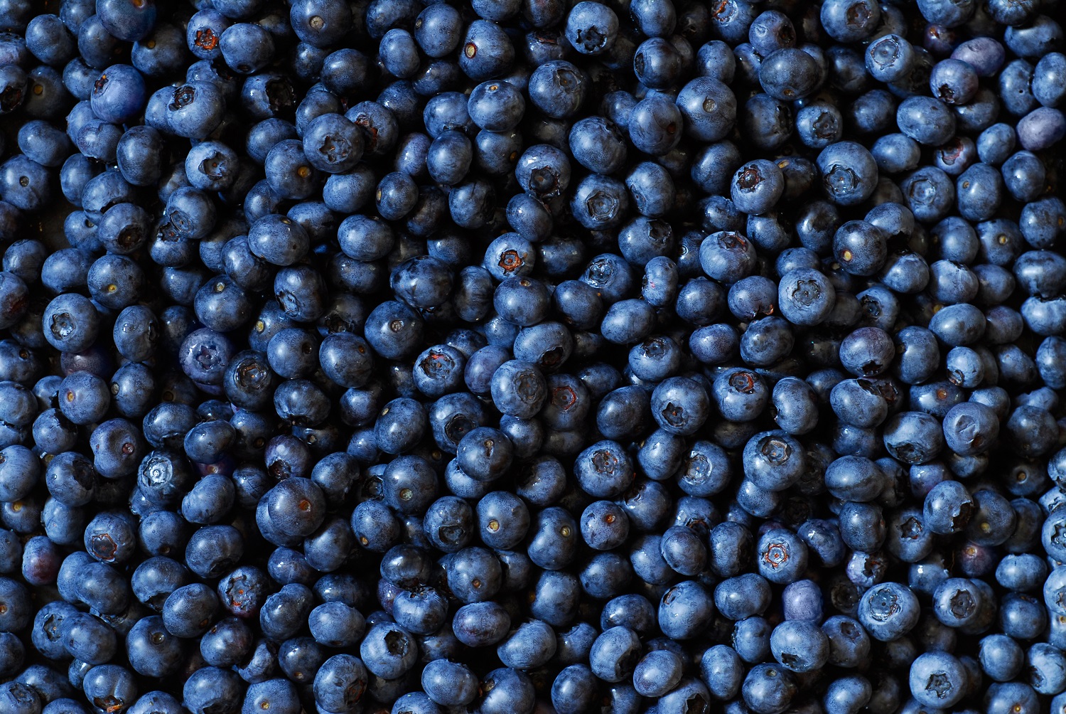 Port of Hueneme gets on-dock cold treatment in boost for blueberries