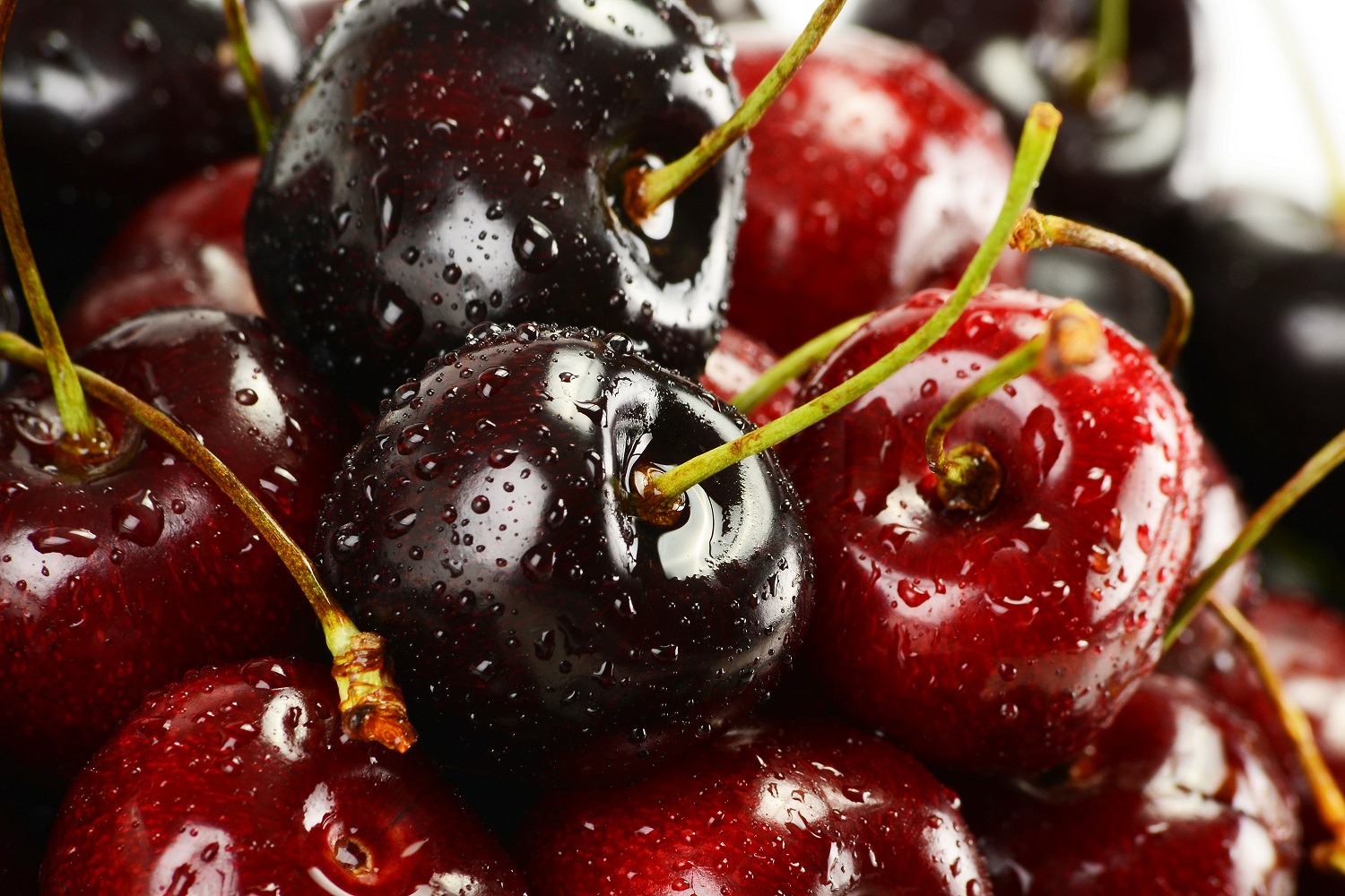 Chilean cherry exports forecast to soar by a third - FreshFruitPortal.com