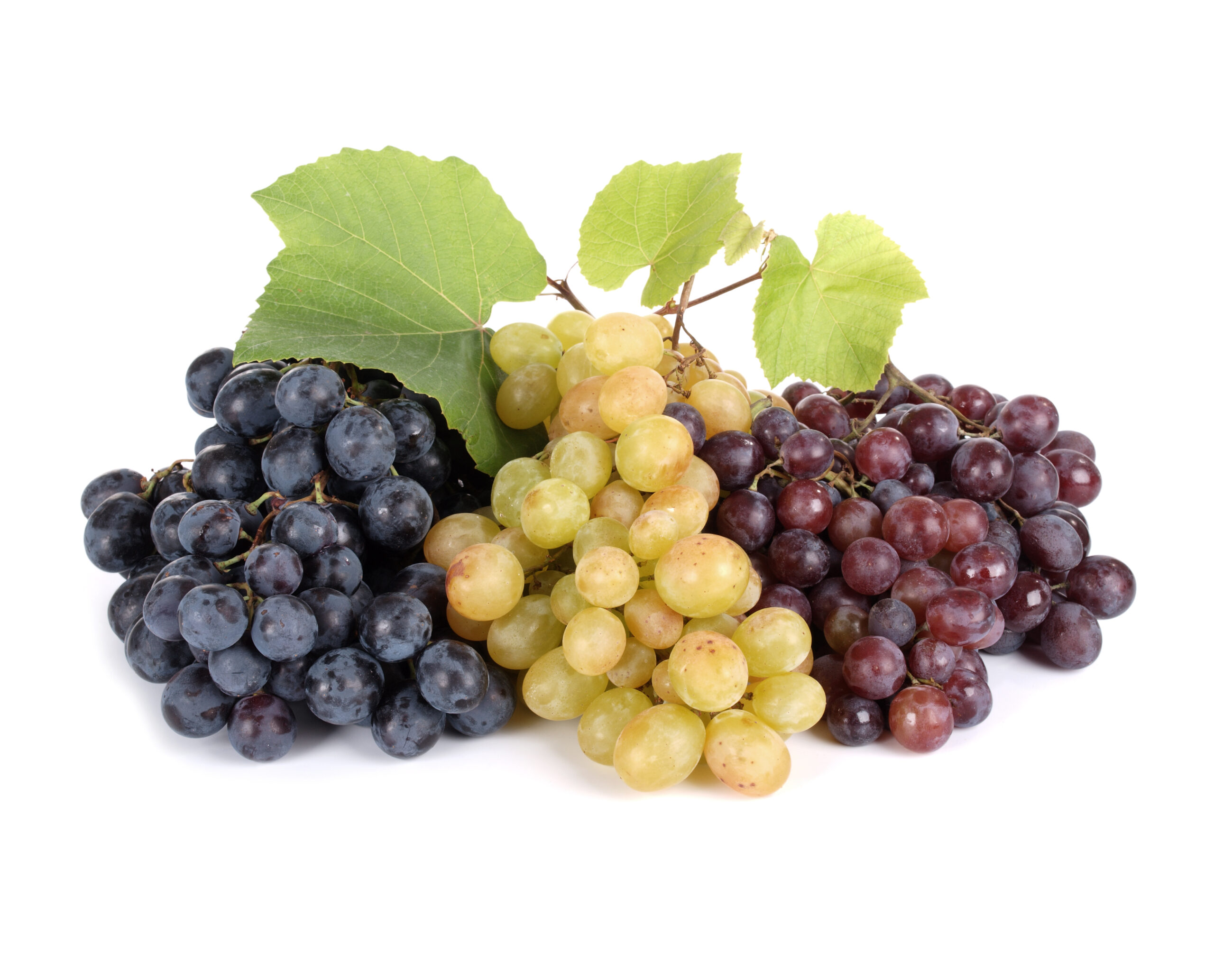 Grapes found to protect against UV skin damage - FreshFruitPortal.com