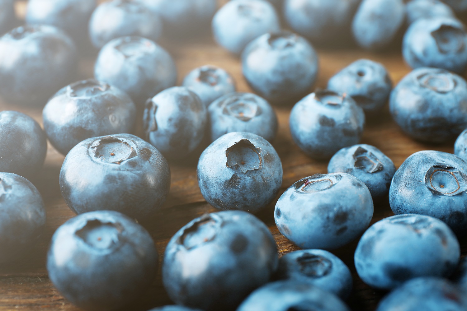 Agronometrics in Charts: Mexican blueberry industry potential to be ...