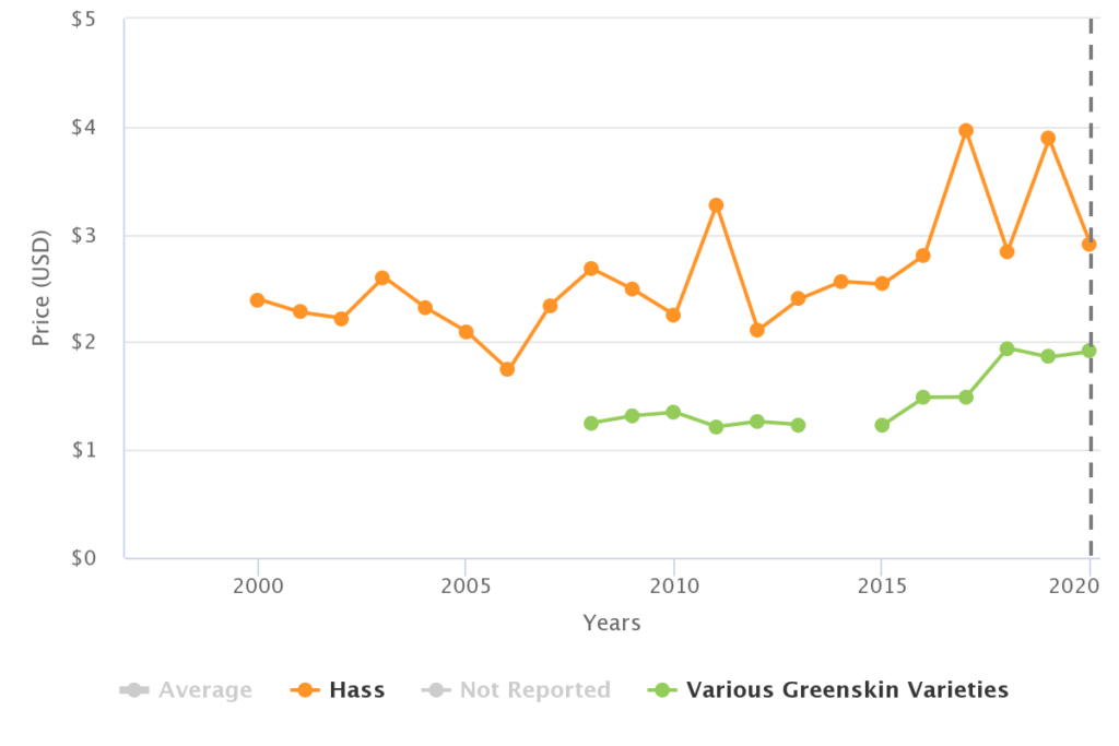 How much more volume can the U.S. avocado market absorb?