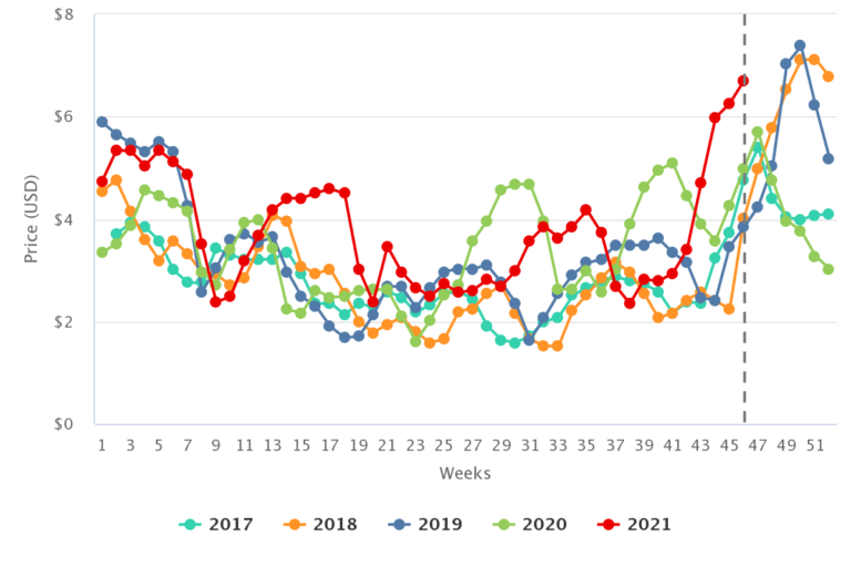 Agronometrics in Charts: Strawberry prices and volumes in the U.S. market