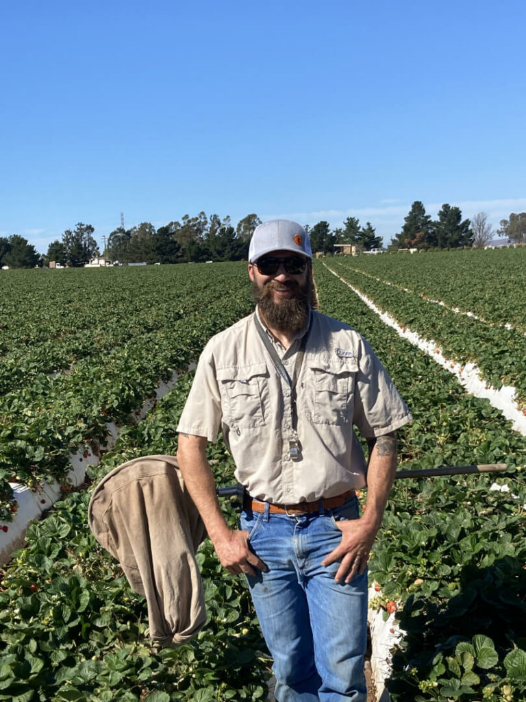 Biocontrol: How strawberry growers are leading the way