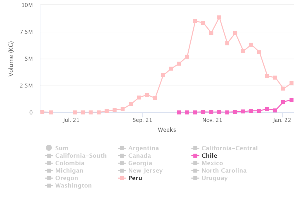 Agronometrics in Charts: Peru’s dramatic increase in blueberry ...