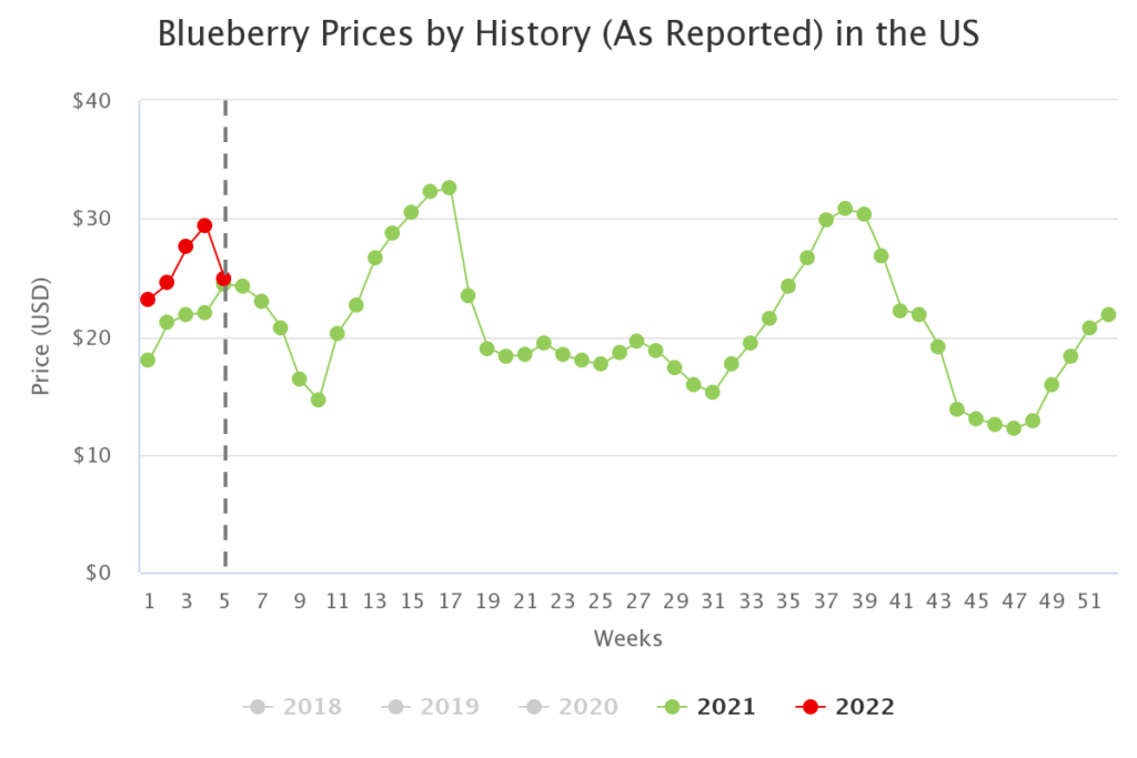 Mexico picks up momentum on blueberry production
