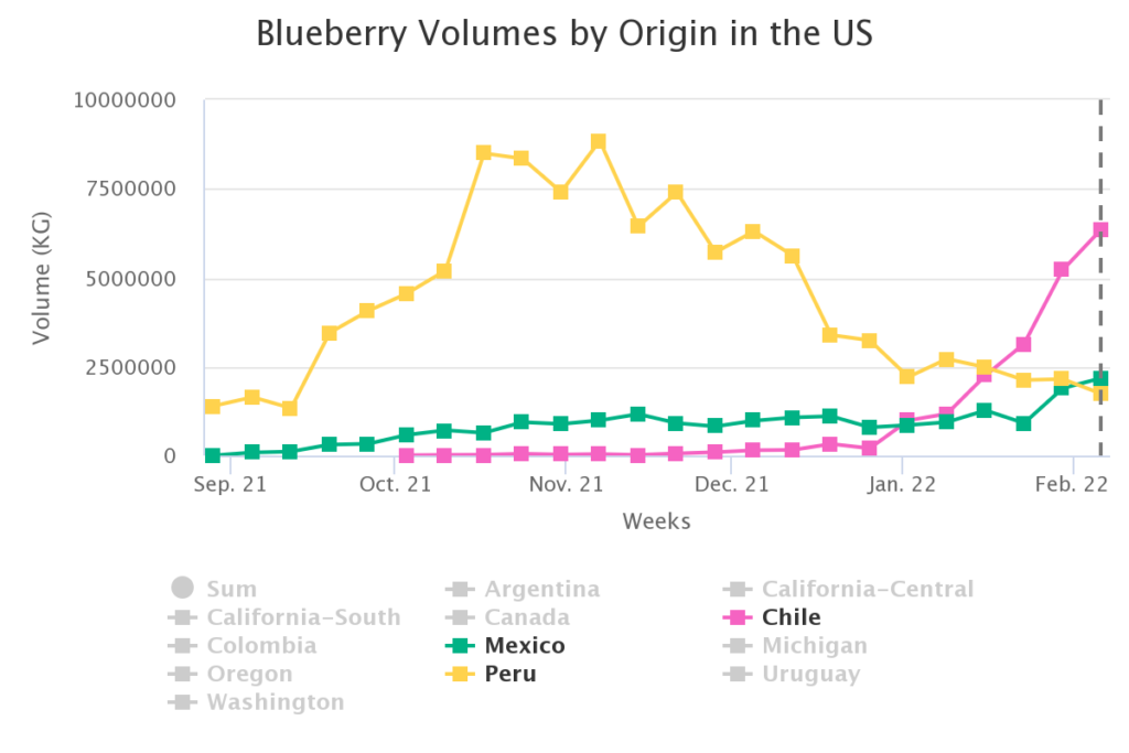 Mexico picks up momentum on blueberry production