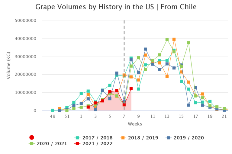 Chilean grape prices soaring on expected 22% increase in production