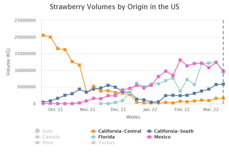 California strawberry volumes feeding an ever voracious demand