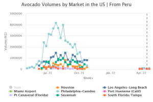 Large swathes of Peru's avocado production poised to start
