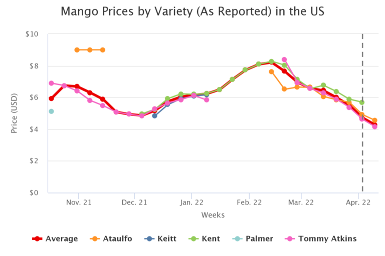 Mexican mangoes continue to be relished by a growing majority