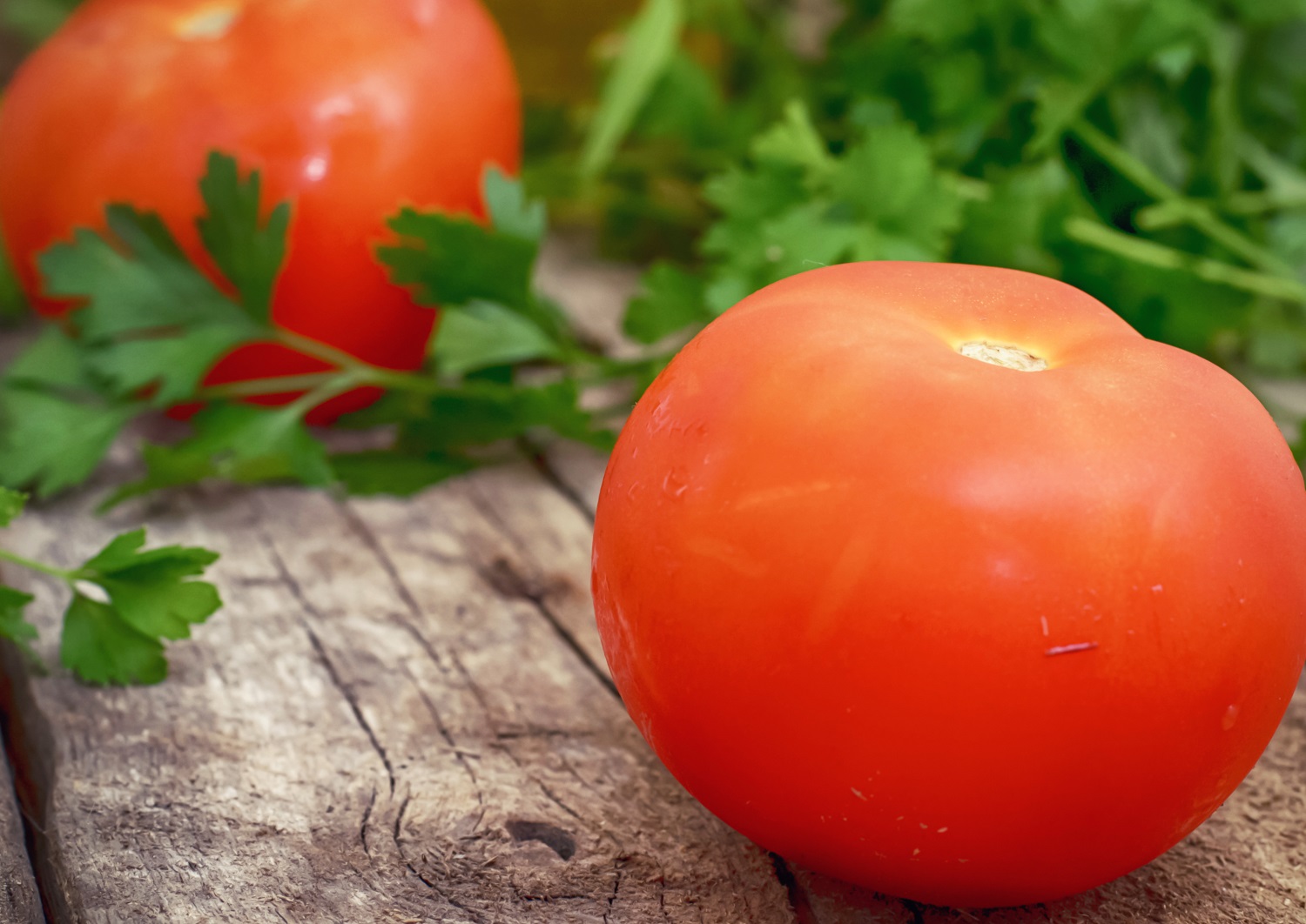 How to keep your vegetable garden healthy