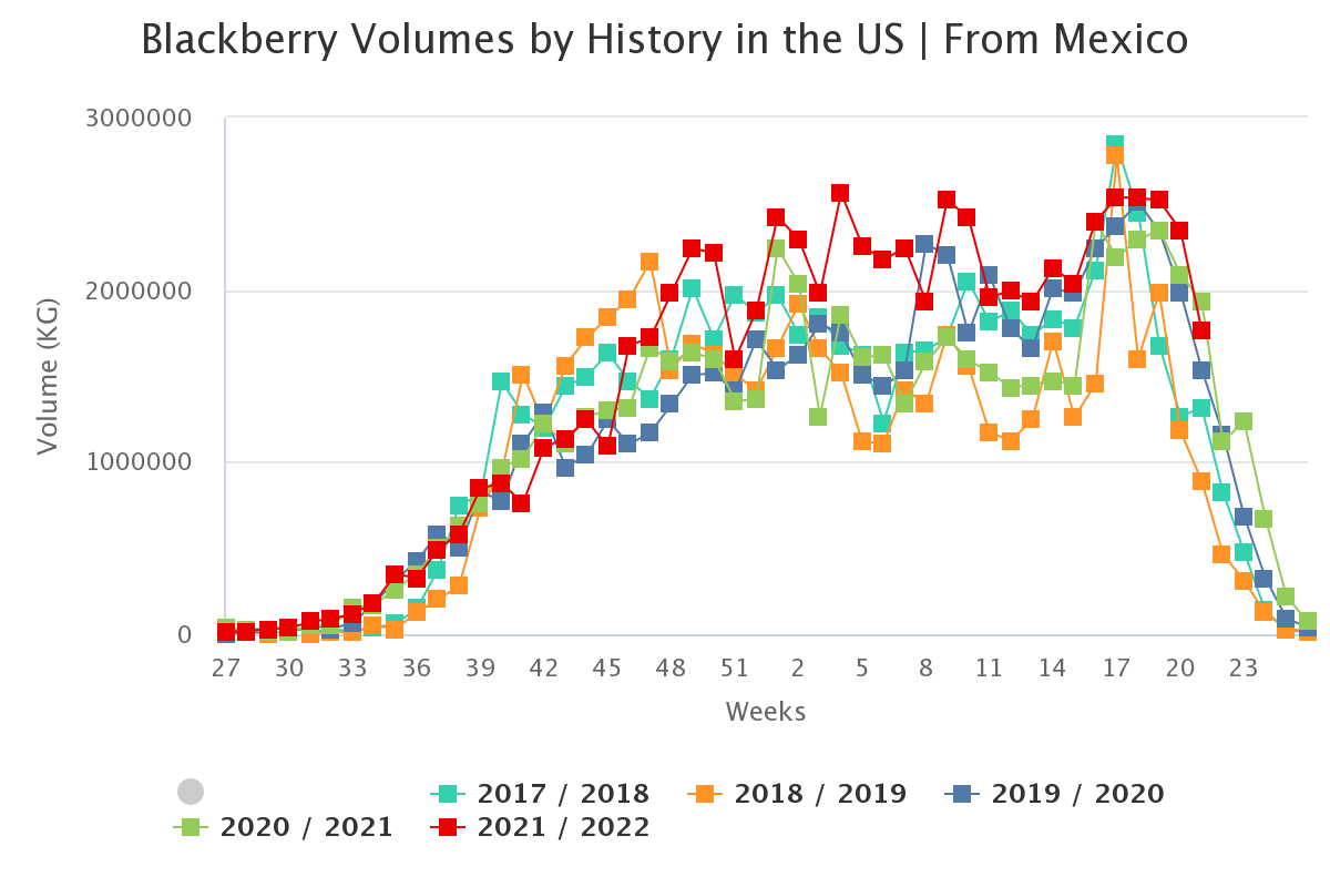 Mexican berry exports surpass beer and avocados