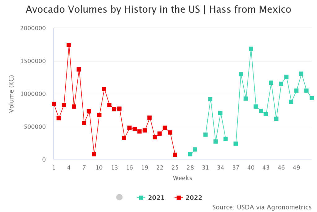 Agronometrics in Charts: Relief in sight for soaring Mexican avocado prices