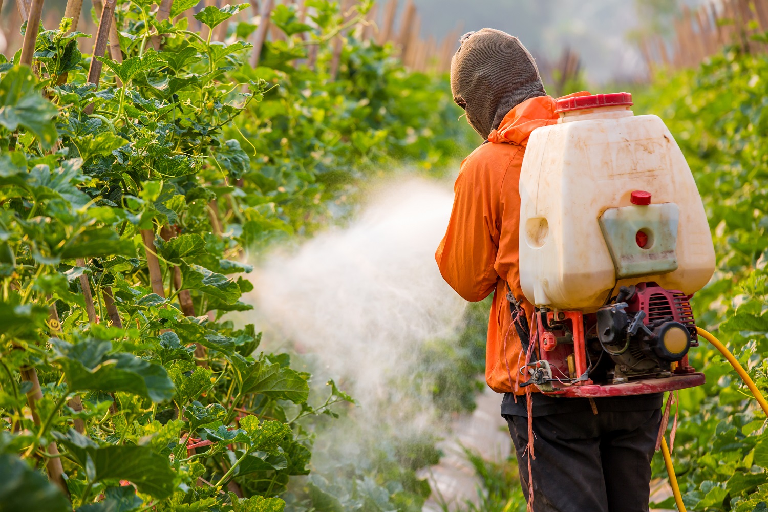 How to reduce reliance on pesticides