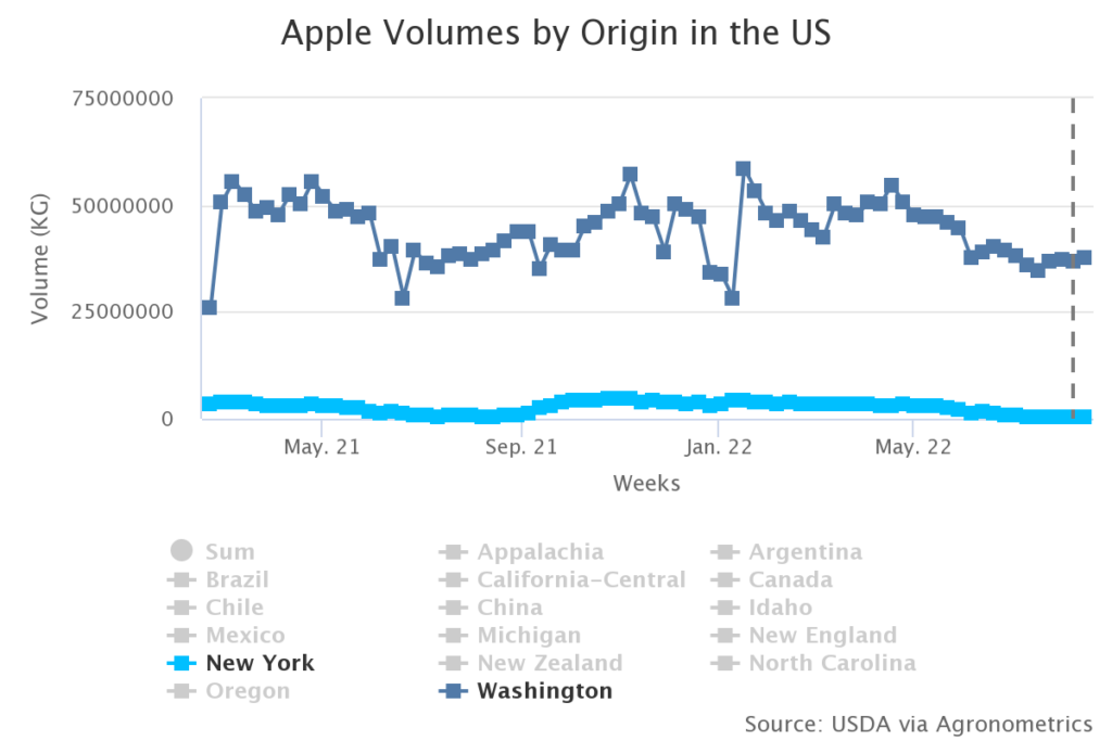 Agronometrics in Charts: Higher pricing in sight for apples this season