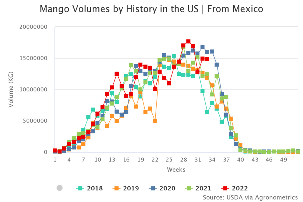 Agronometrics in Charts: Mexican mango production projected to increase ...
