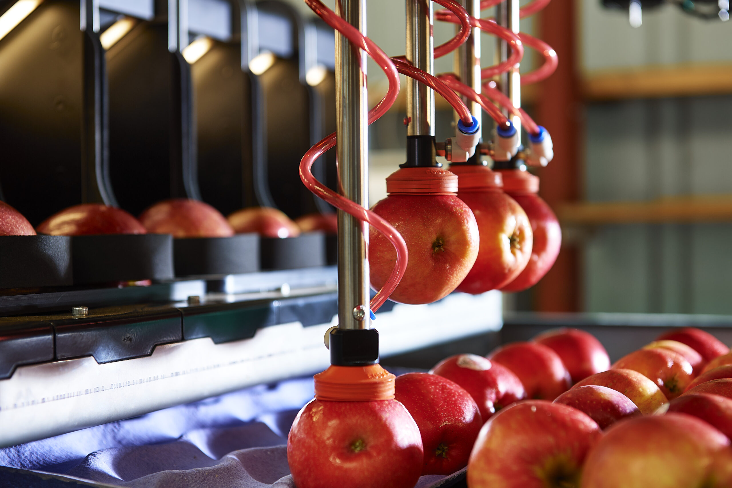 Yummy Fruit’s produce packing robot reaches 20M apples milestone