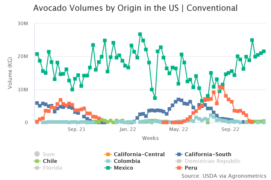 Avocado glut in the US market expected to last at least until mid 2023