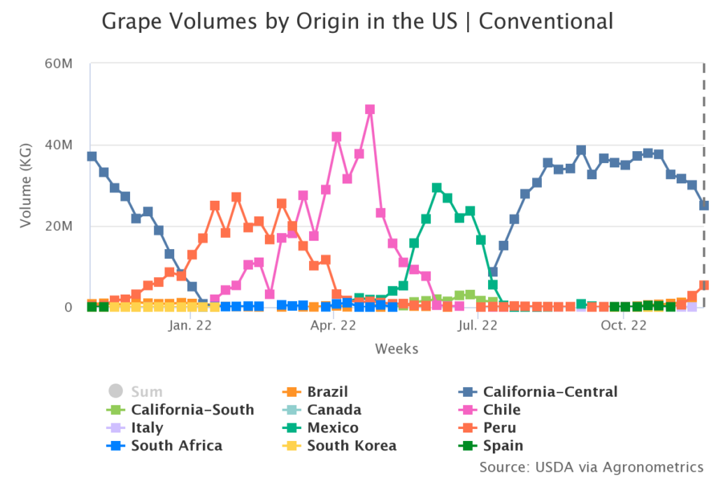 Mexican Table Grape production estimate 3% lower than last season