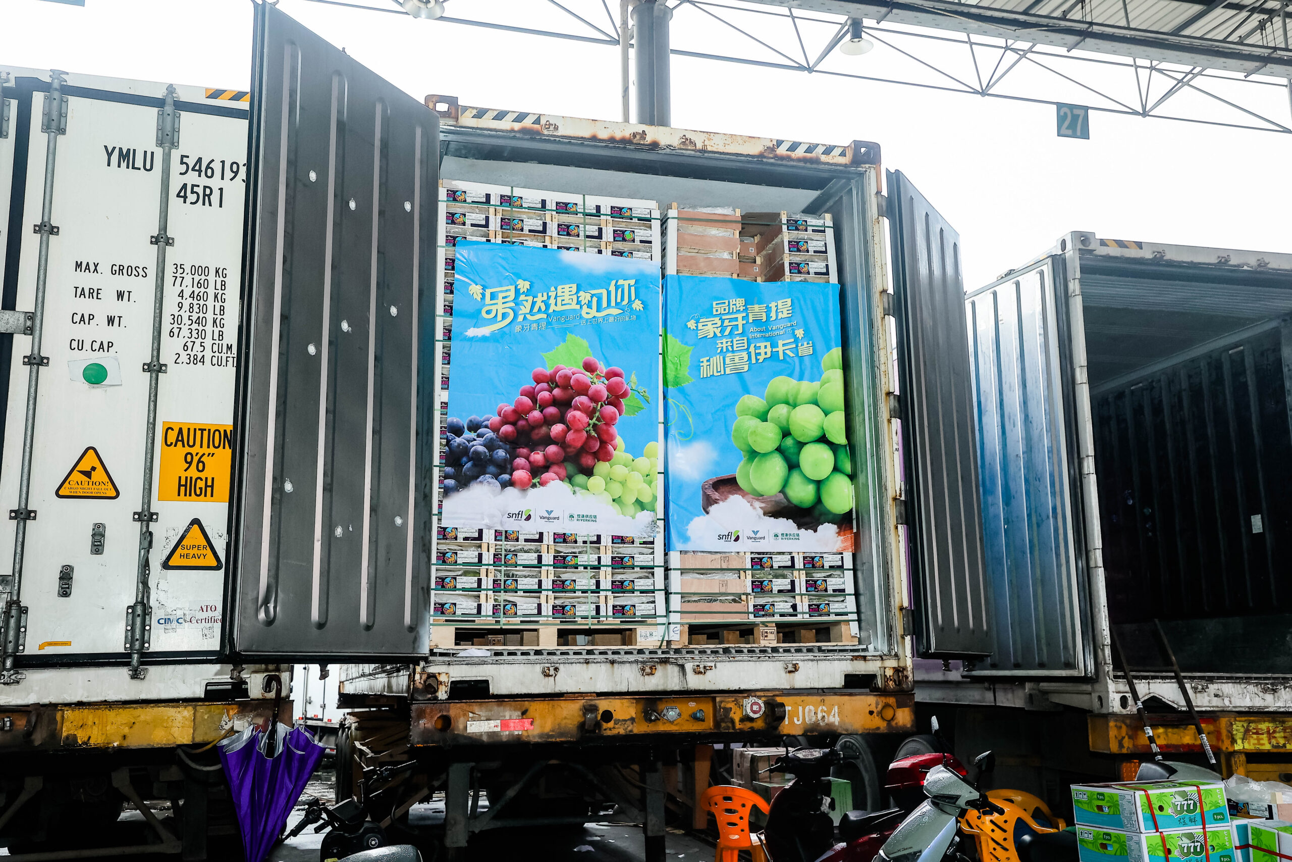 SNFL Group, Vanguard and Riverking host grape tasting in China