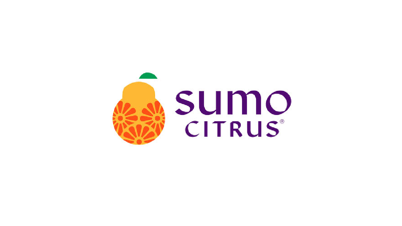 Sumo mandarin season returning with record volumes