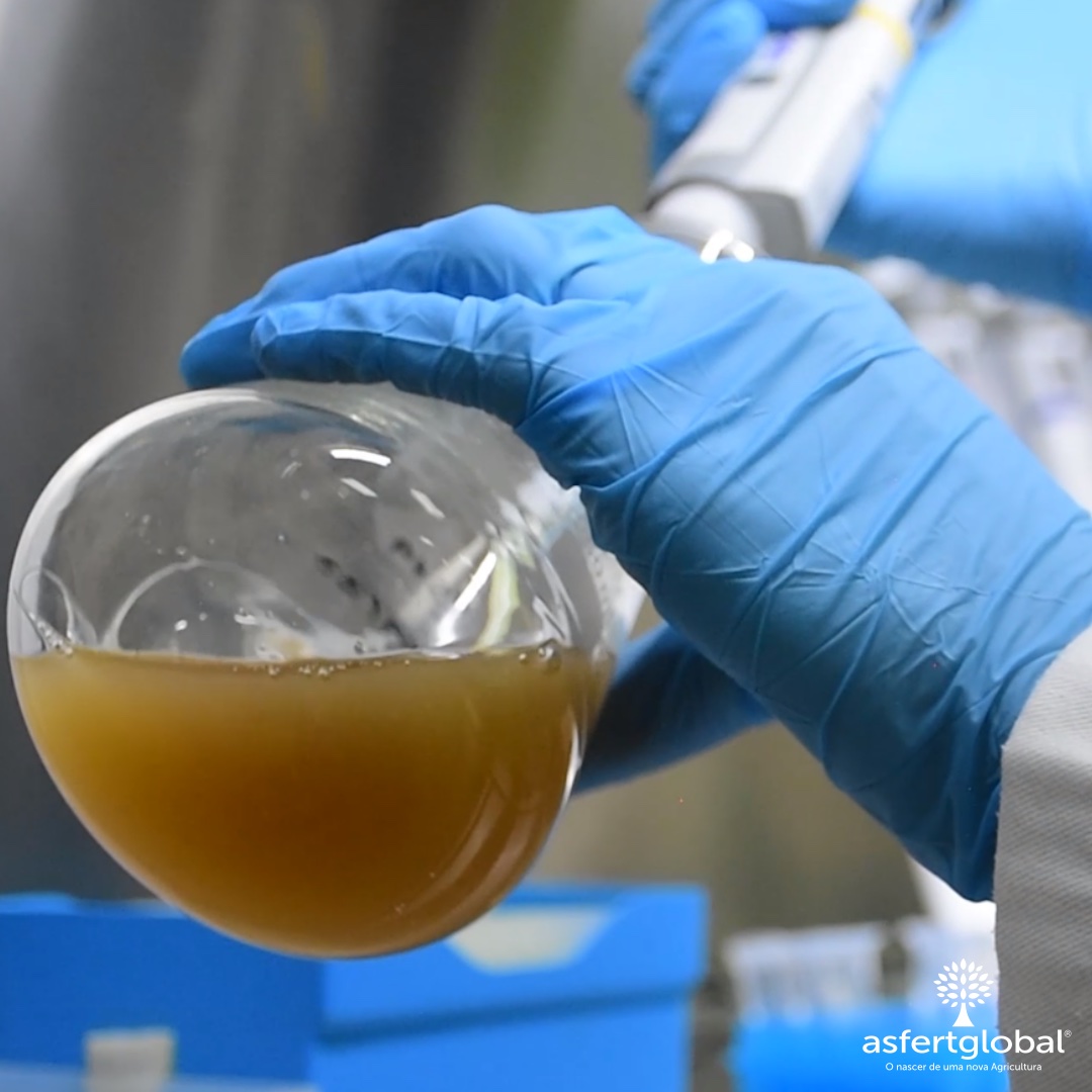 Asfertglobal hits new sales record in 2022