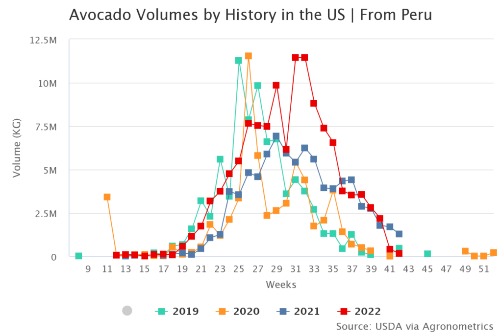 Agronometrics: Favorable prospects for Peruvian avocados