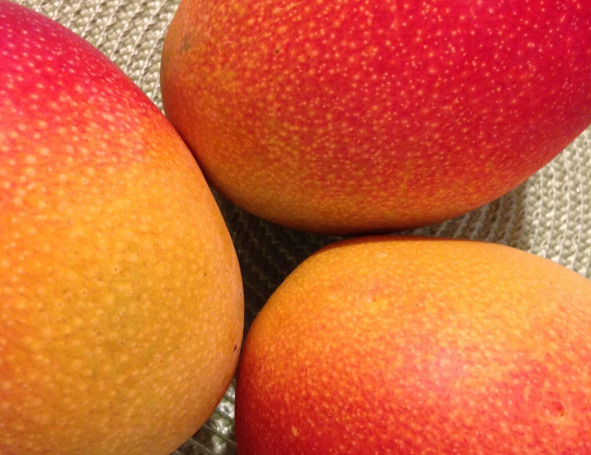 Mexican mango deal gaining steam