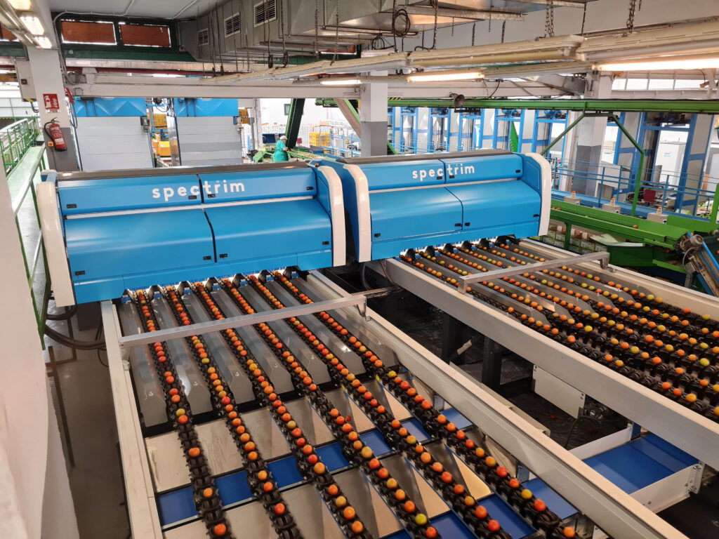 How modern sorting, grading and packing solutions are making tomato ...