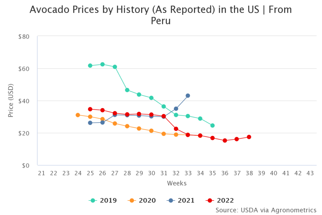 Peruvian avocado season projecting 13% rise in 2023
