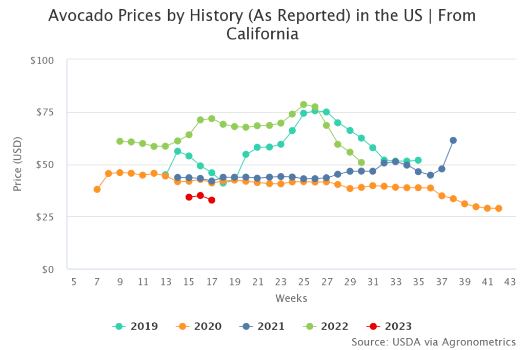 California avocado season: Late maturing avocado varieties