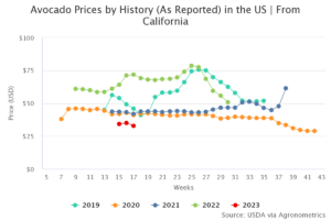 California avocado season: Late maturing avocado varieties