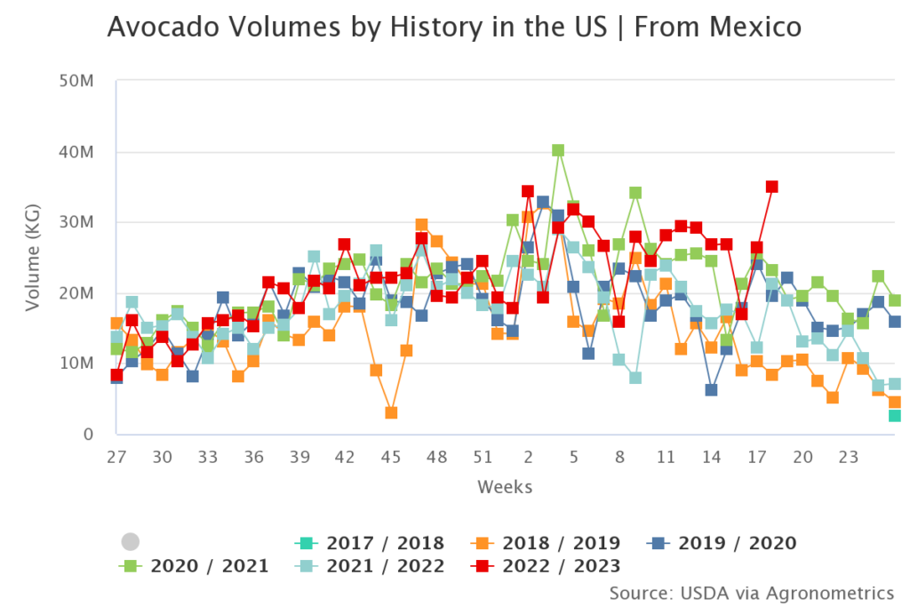Mexican avocado industry remains the largest in the world