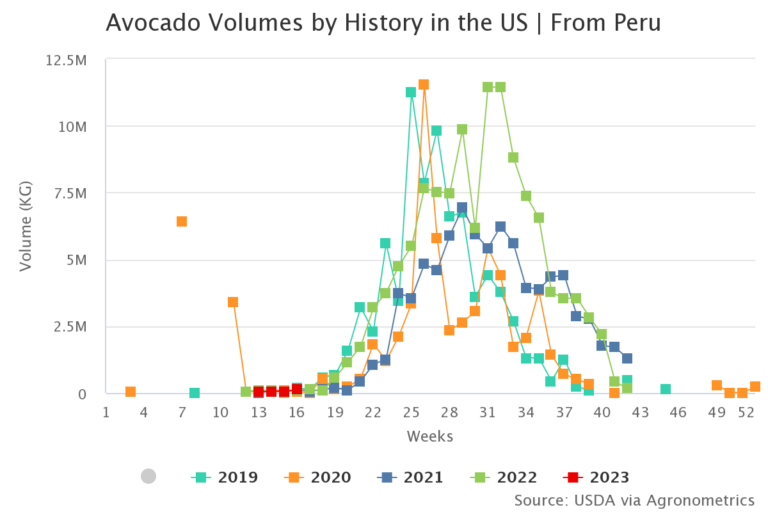 Peruvian avocado season projecting 13% rise in 2023