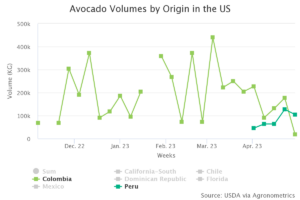 California avocado season: Late maturing avocado varieties