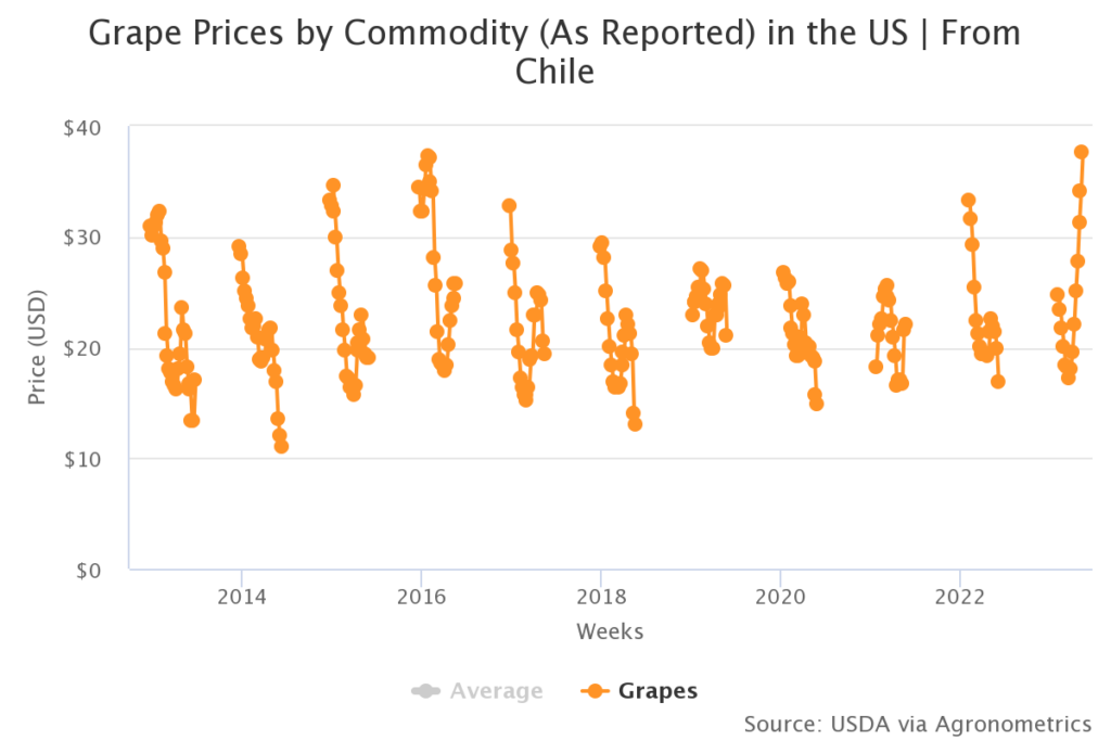 Chilean grape industry sees record breaking prices