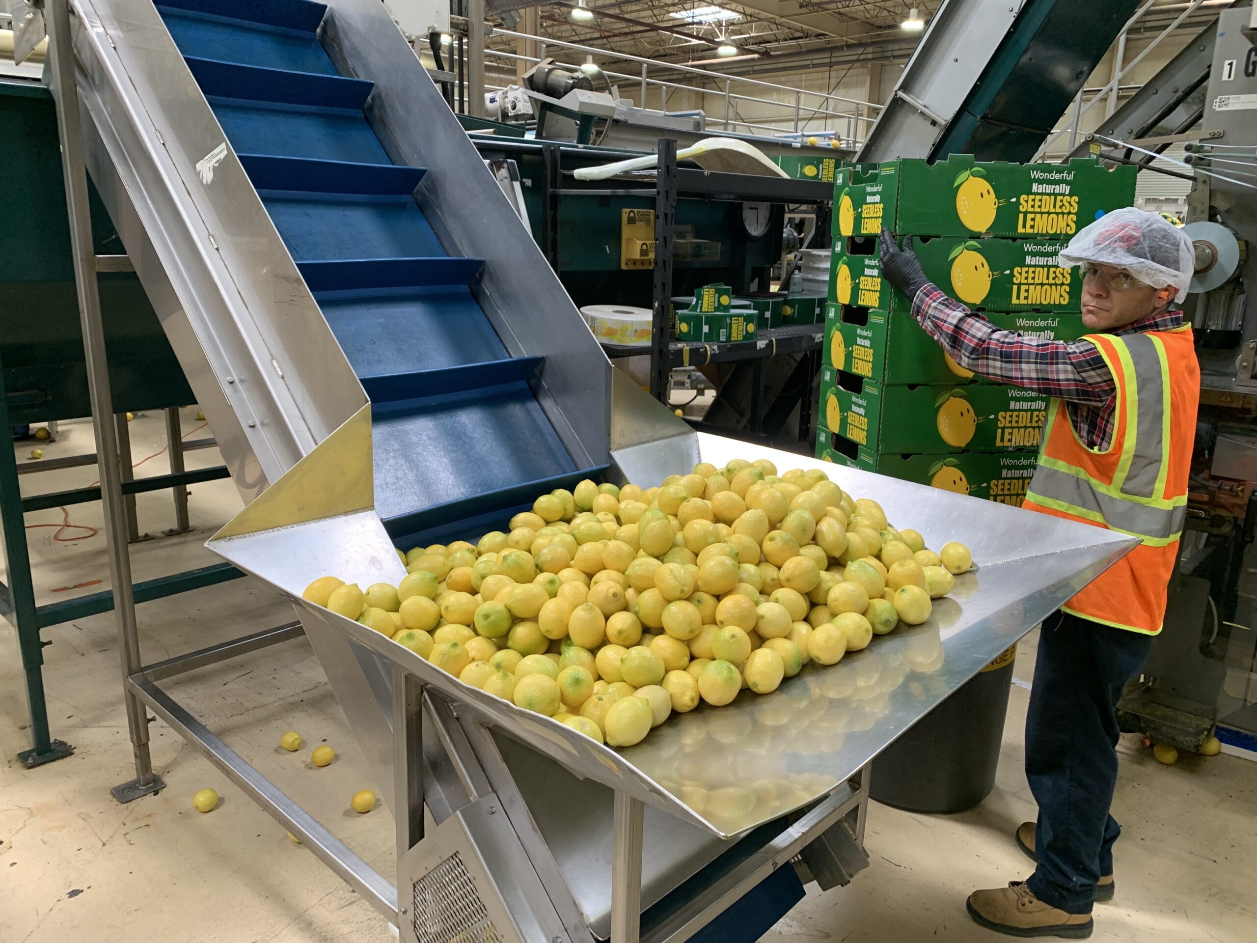 Wonderful Citrus has big plans for its seedless lemons