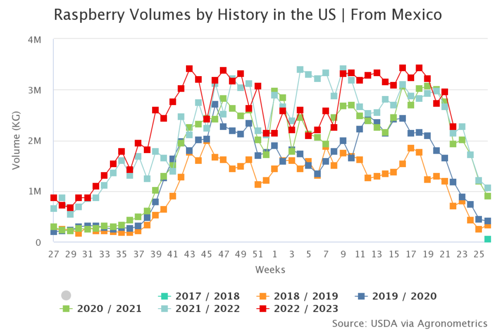 Mexican raspberry market sees staggering U.S. consumption rates