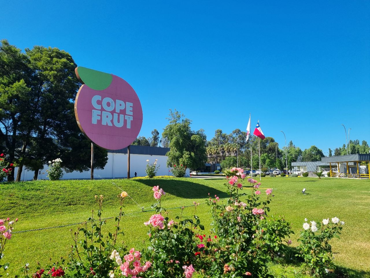 Copefrut posts first sustainability report