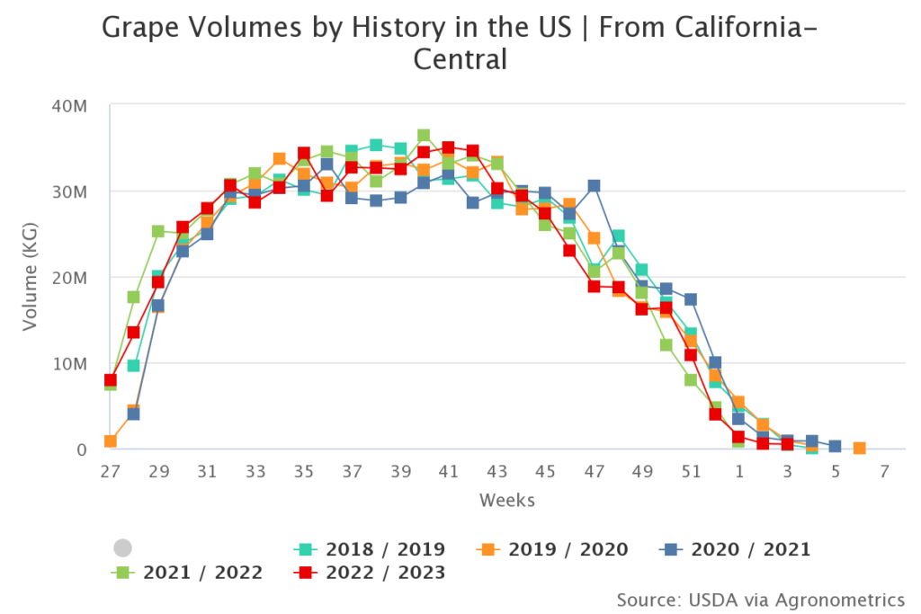 California grape season brings new varieties