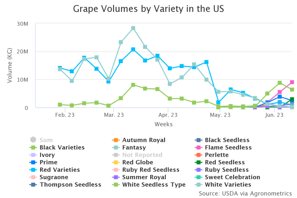 California grape season brings new varieties