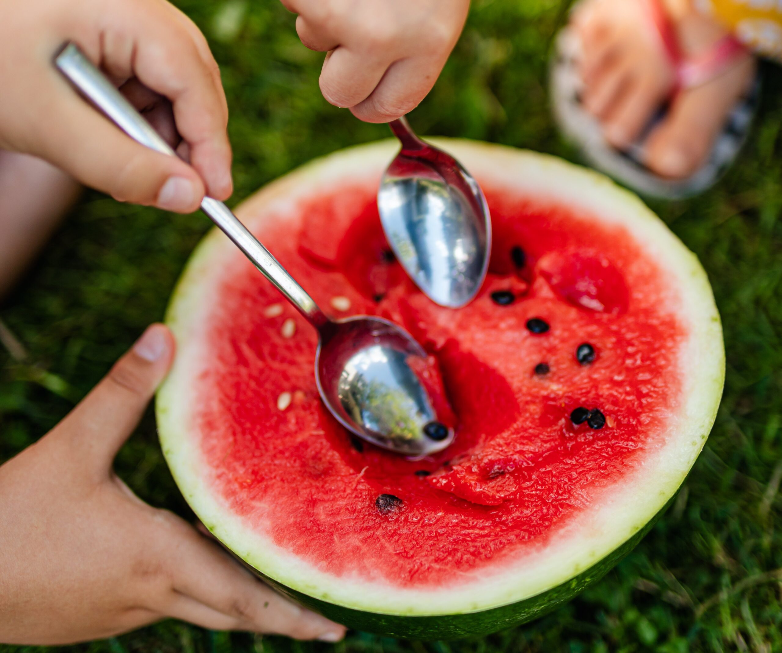 Watermelon prices spike this summer