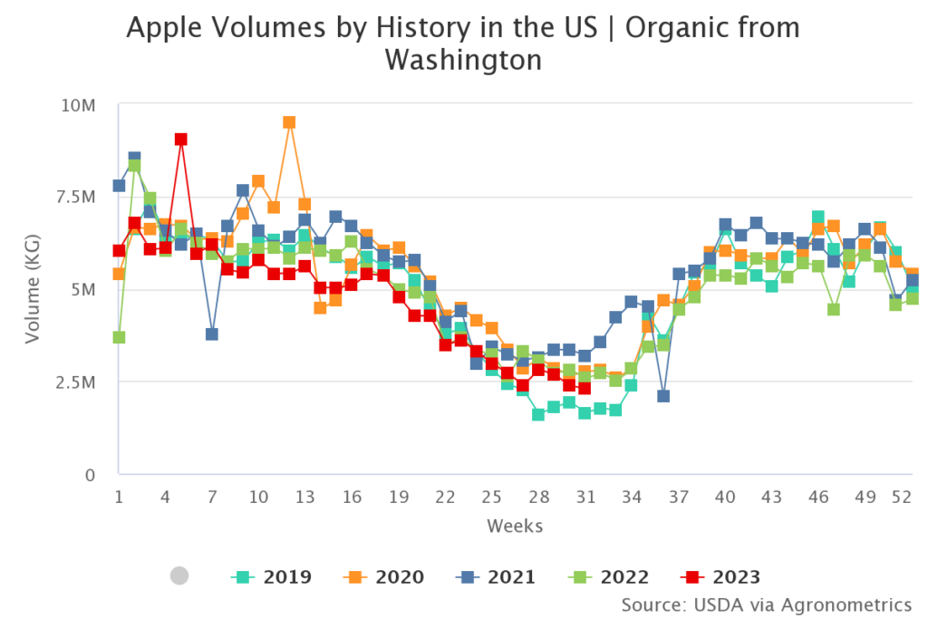 Washington apples making a comeback this season