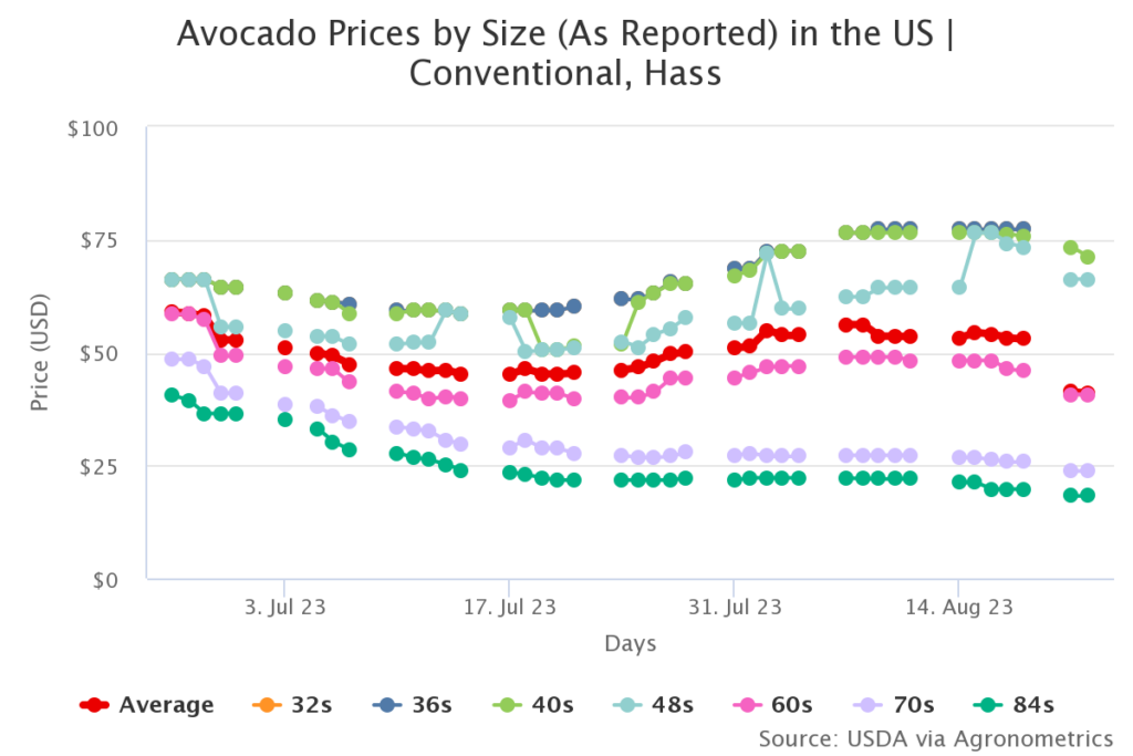 Smaller avocado sizes prices slip by 22%