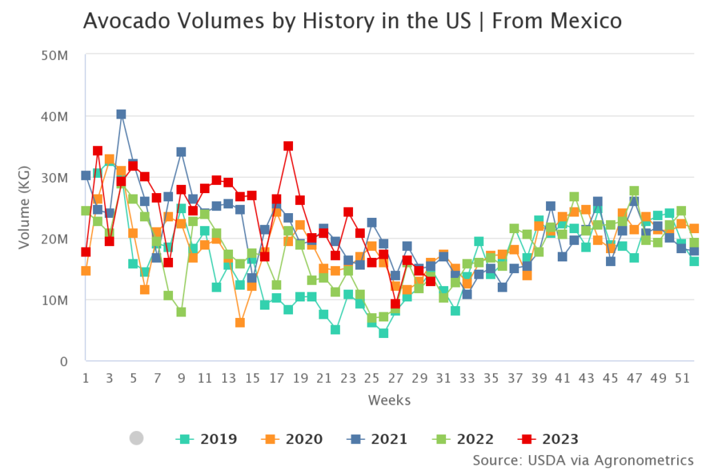 Mexico’s avocado season reaches unprecedented export levels
